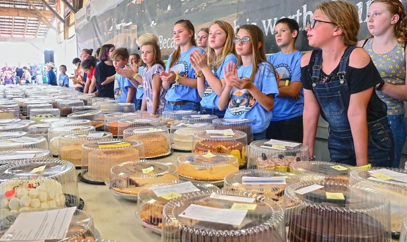 Cake it easy: Grand Champion youth cake sold for $8,000 in charity ...