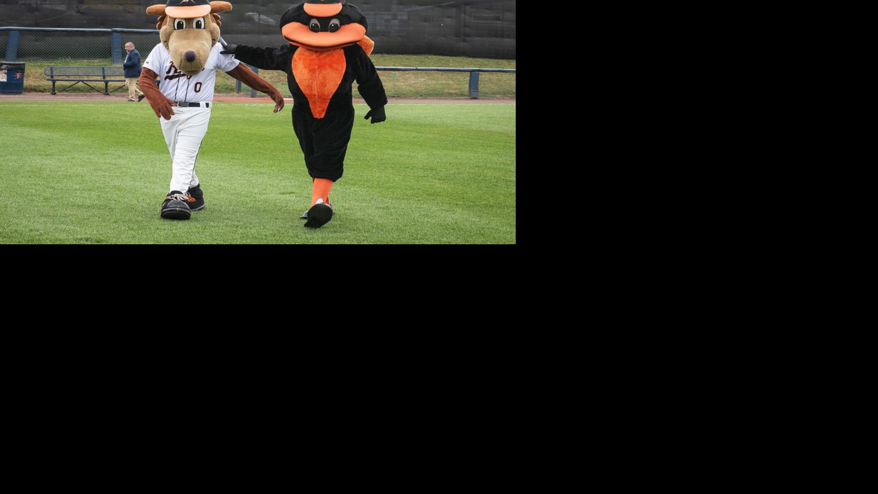 Updated: Frederick Keys to re-affiliate with Orioles for 2026 season ...