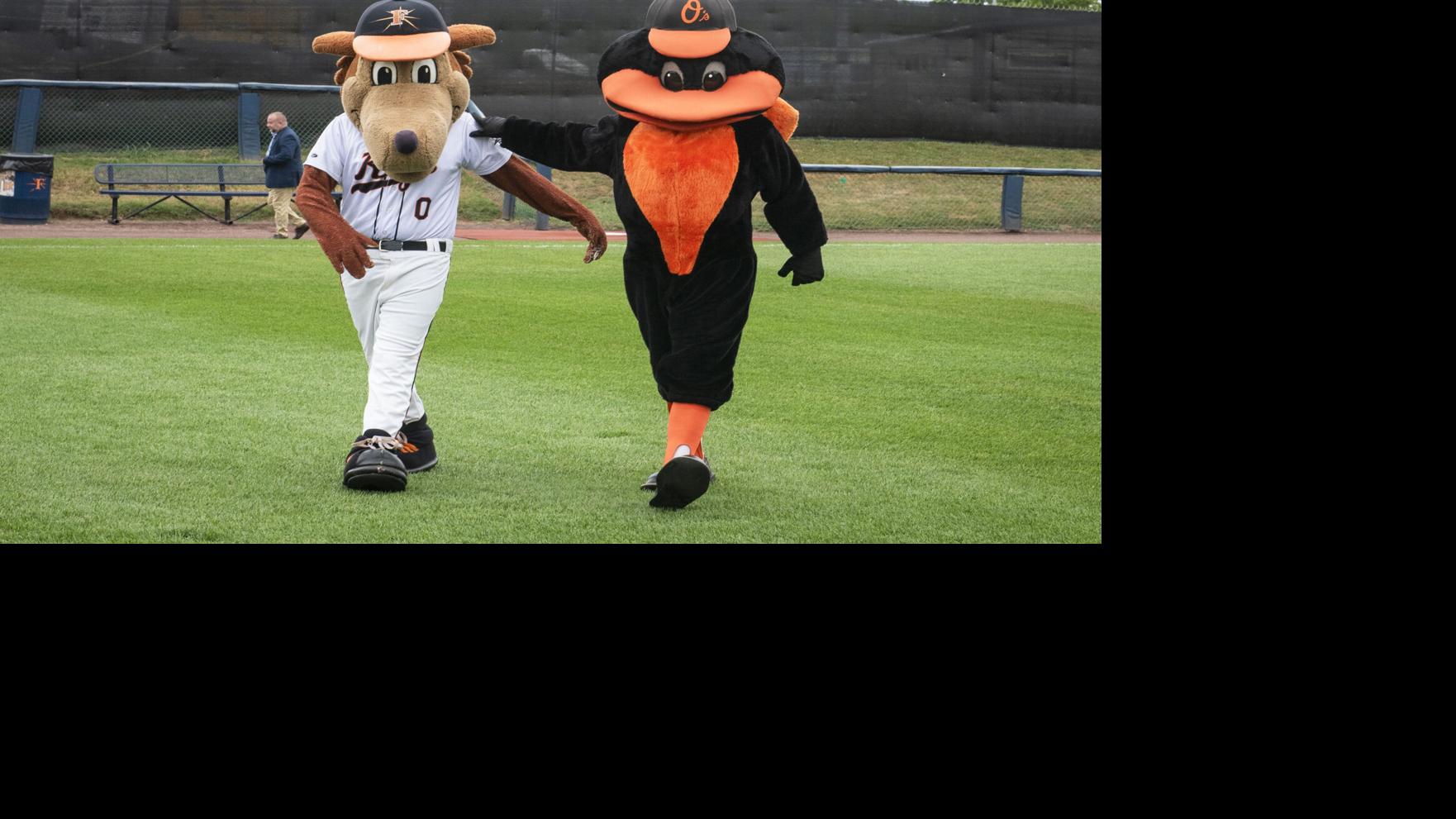 Updated: Frederick Keys to re-affiliate with Orioles for 2026 season ...