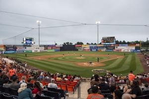 New plans show Harry Grove Stadium improvements | Real Estate And ...