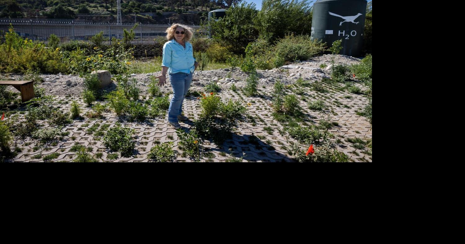 Engineering buried LA's river. Artist Lauren Bon is engineering a plan to free it. | Arts ...