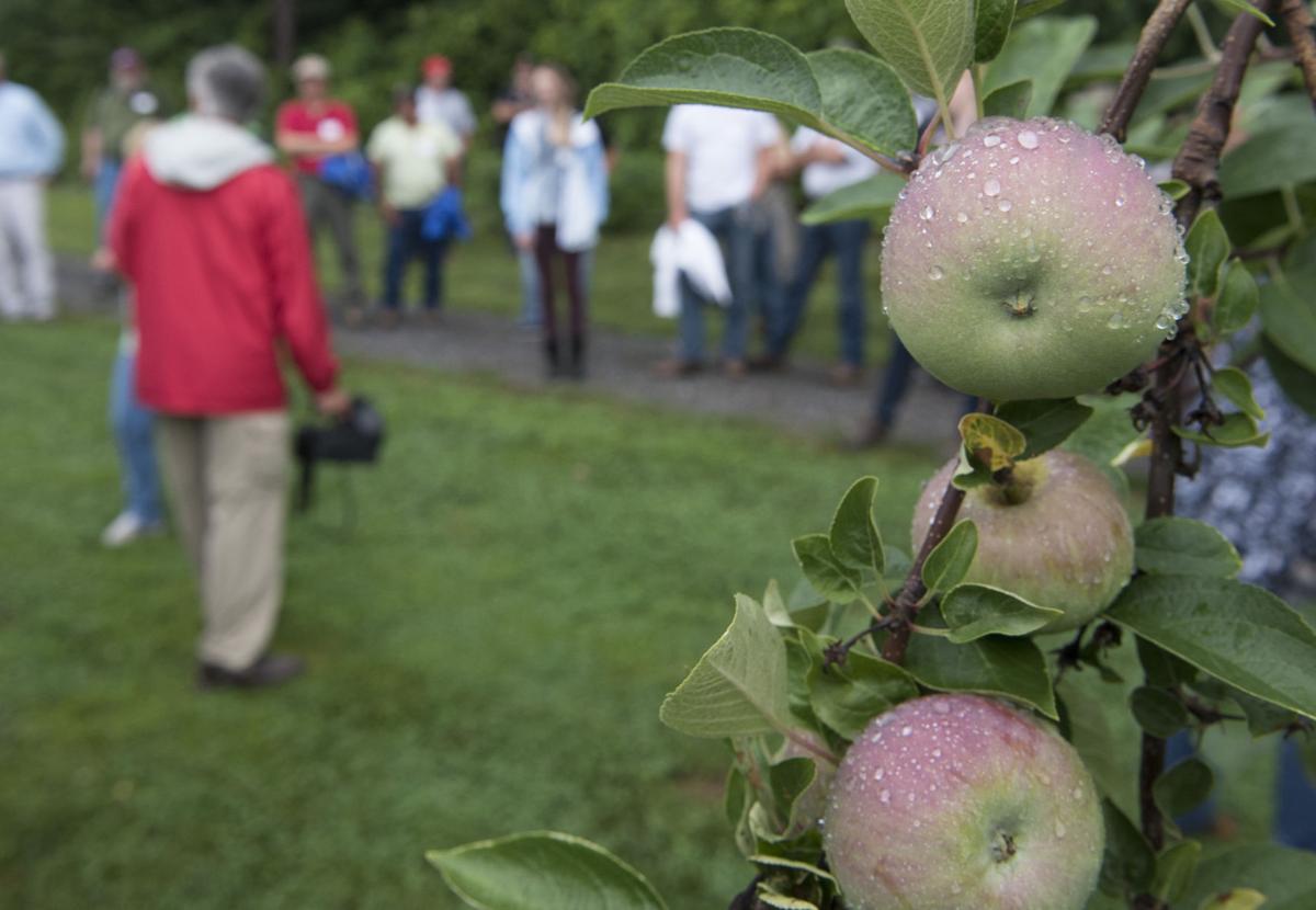 Local growers field questions, offer expertise during orchard tours ...