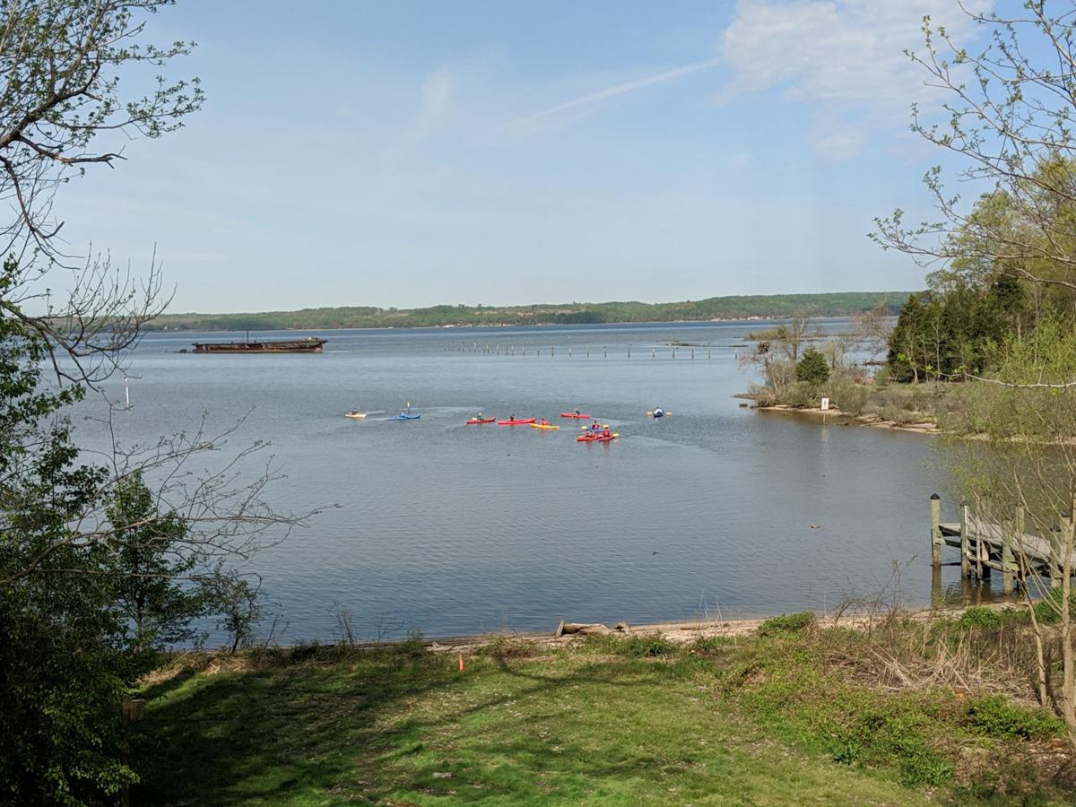 In Mallows Bay on the Potomac, a 'ghost fleet' of wrecked ships is very ...