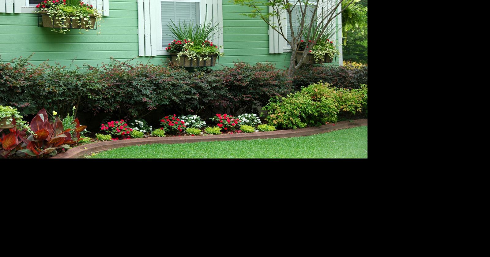 Wojo’s Jem Vinca is an extraordinary spiller plant no matter the season ...