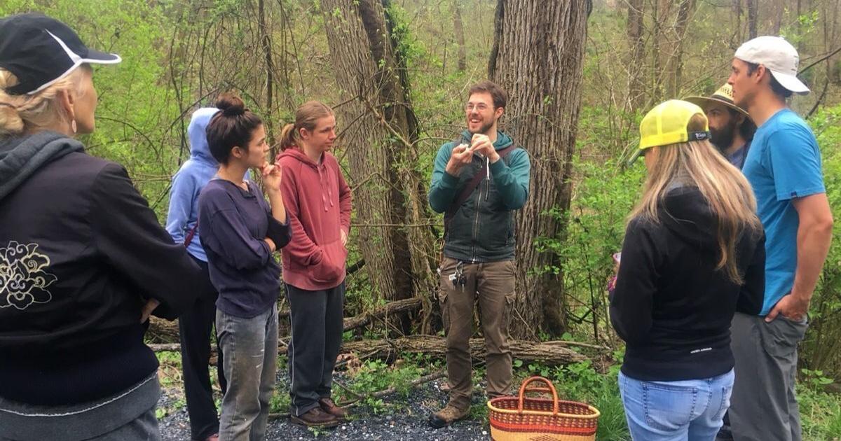 Fox Haven Foragers: Level 1 | Classes, workshops & lectures ...