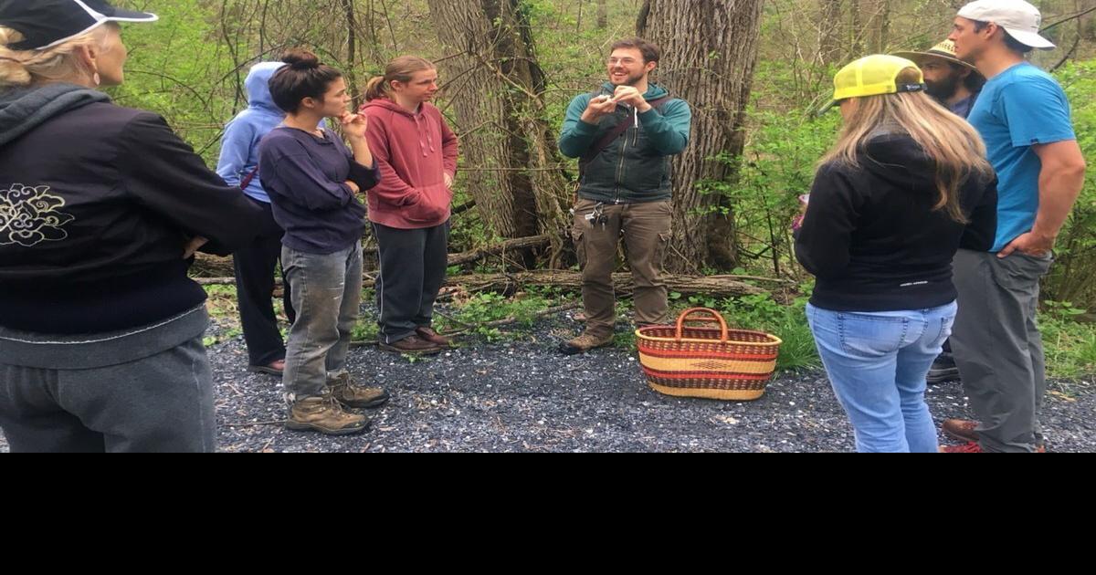 Fox Haven Foragers: Level 1 | Classes, workshops & lectures ...