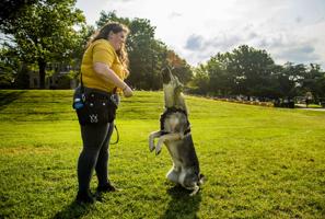 Local puppy trainer wins awards, strives to help people become better ...