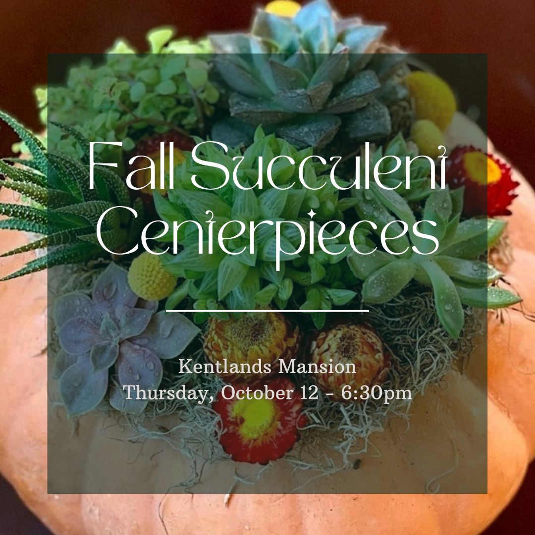 Fall Succulent Centerpieces | Classes, workshops & lectures ...