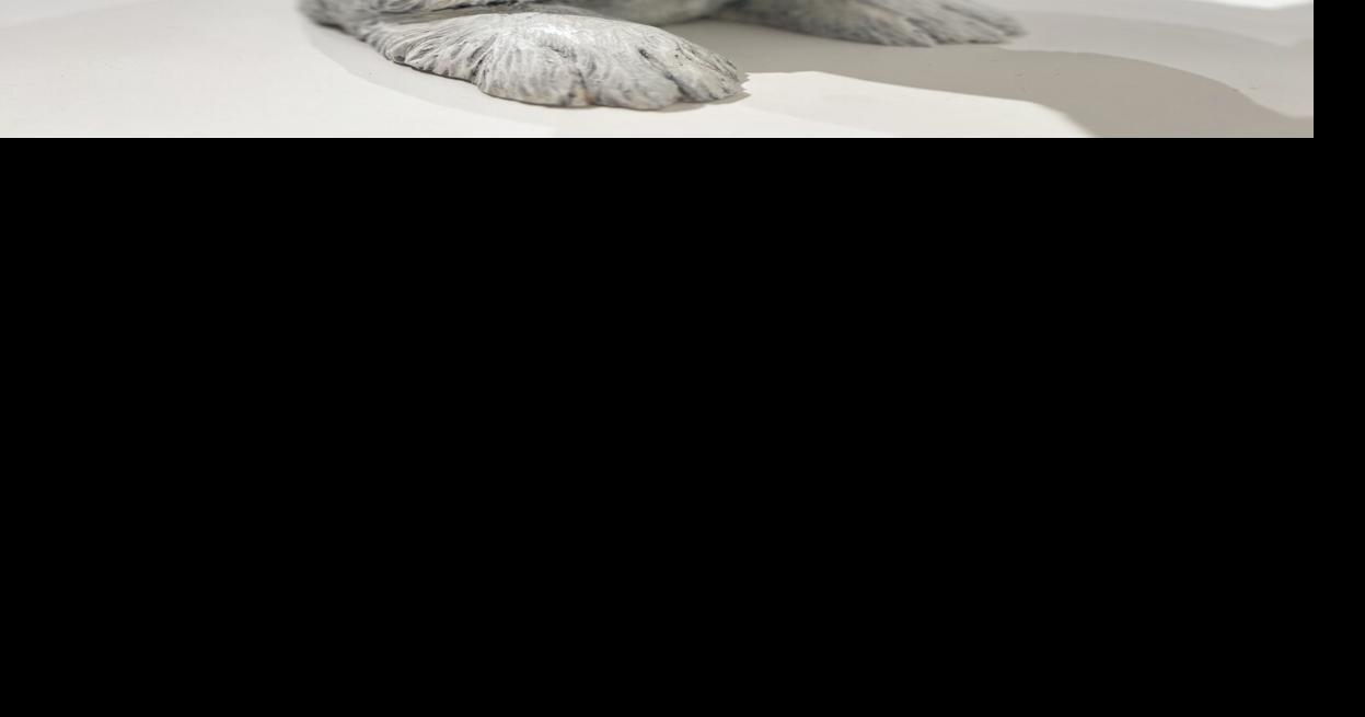 Contemporary Innovations: Darla Jackson | Visual Arts ...