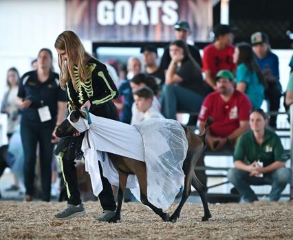 The Great Frederick Fair starts Sept. 13 | Arts & entertainment ...