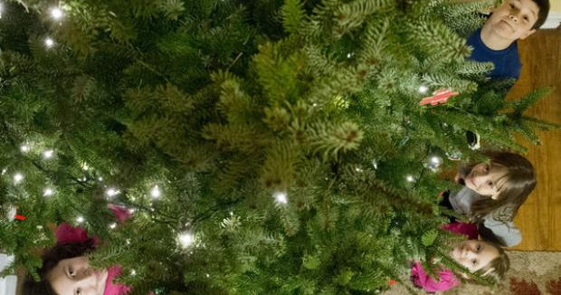 16-foot tree makes for special Christmas | Bulletin | fredericknewspost.com