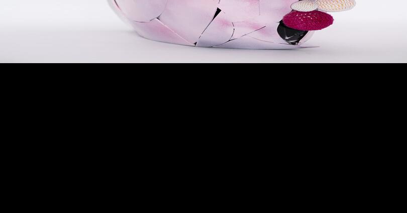 Jin Lee: "Gash" | Visual Arts | fredericknewspost.com