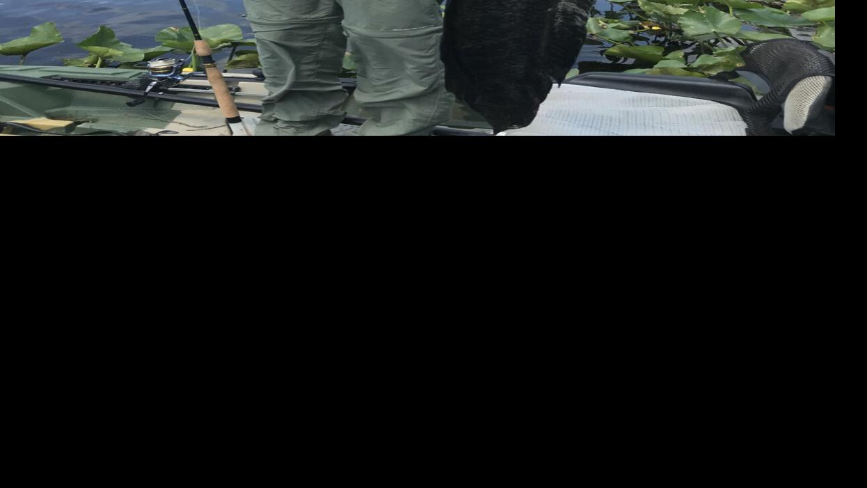 Today's Sportsman: Casting for snakeheads on the Eastern Shore | Travel ...