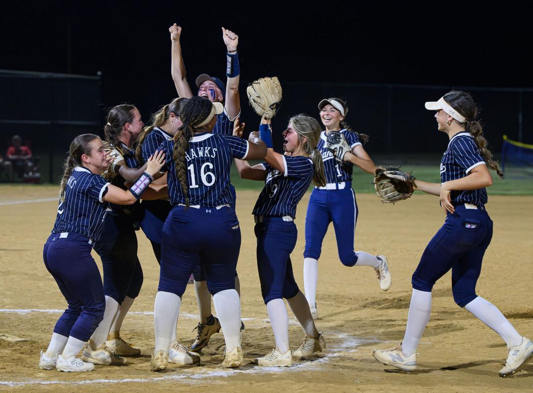 Urbana softball holds on for 4A final berth behind McAnaw's pitching ...