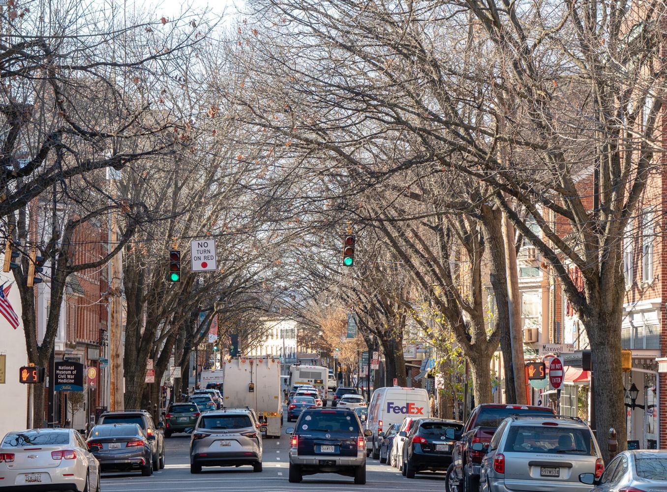 City's tree canopy coverage stable from 2014 to 2021; goal is 40% of ...