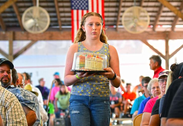 Cake it easy: Grand Champion youth cake sold for $8,000 in charity ...