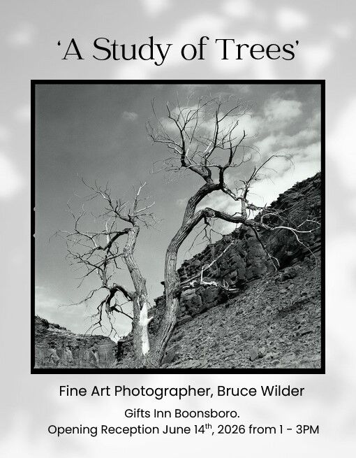 "A Study of Trees" with Bruce Wilder | Visual Arts | fredericknewspost.com