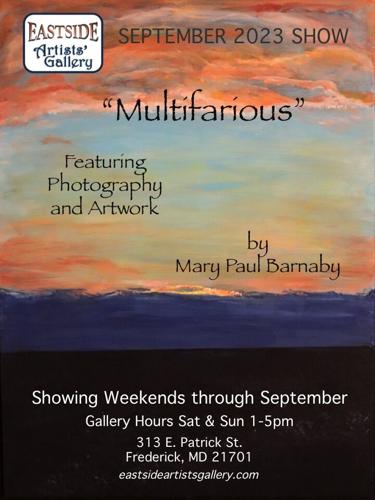 "Multifarious" | Visual Arts | fredericknewspost.com