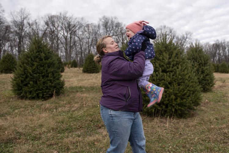 Festive Farms: Three businesses come alive with Christmas spirit | Arts ...