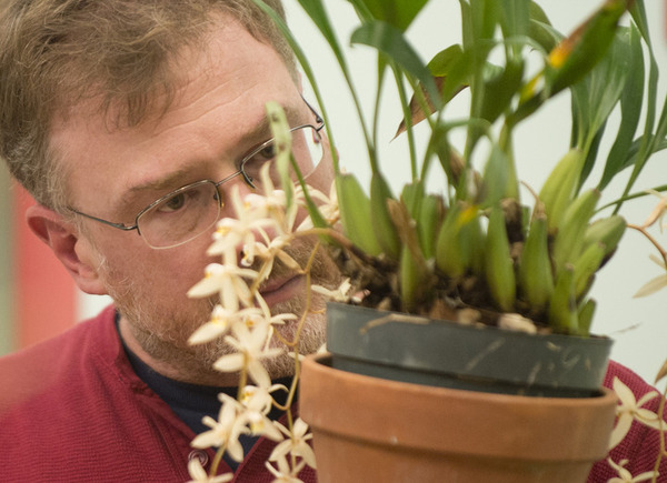 Planting a passion for local orchid growers | Environment ...