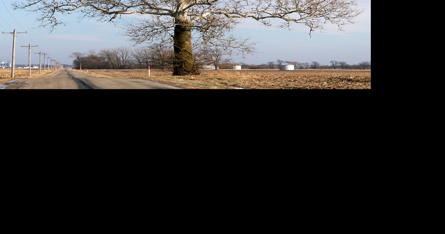 Breaking dormancy in trees | Environment | fredericknewspost.com