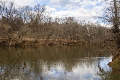 Catoctin Land Trust receives grant to help watershed restoration ...