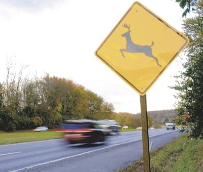 Stay alert for deer and other wildlife | Travel And Outdoors ...