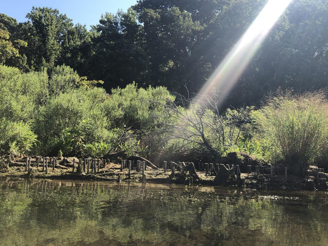 In Mallows Bay on the Potomac, a 'ghost fleet' of wrecked ships is very ...