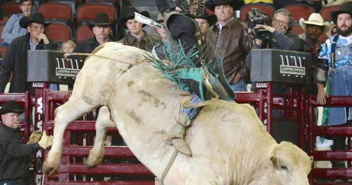 IBR Bull Riding Finals | Family Fun | fredericknewspost.com