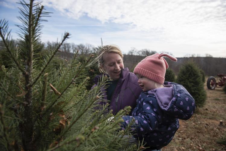 Festive Farms: Three businesses come alive with Christmas spirit | Arts ...