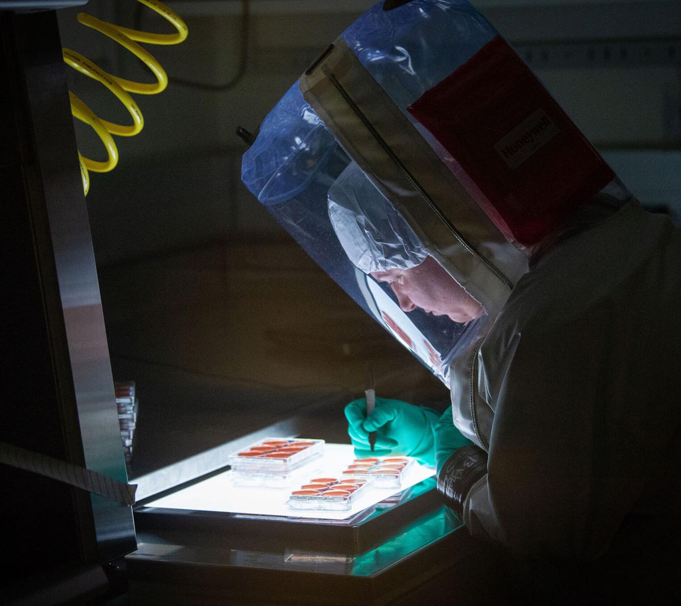 HHS stops work at Fort Detrick lab that studies infectious diseases ...