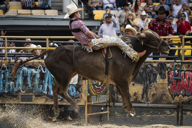 Photos: Frederick Mexican Rodeo | News | fredericknewspost.com