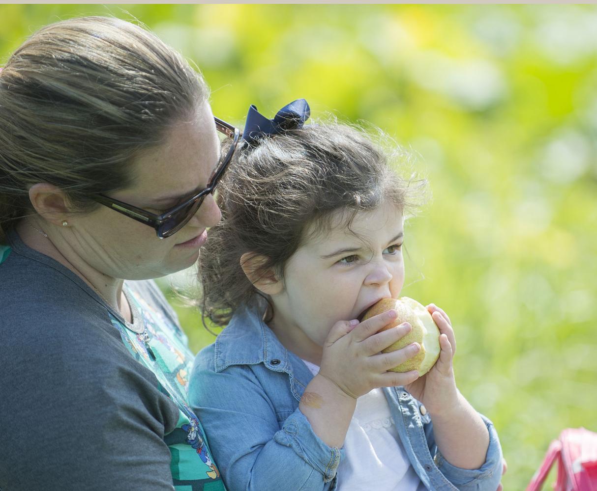 Apple picking at Gaver Farm: Find your favorite | Food ...