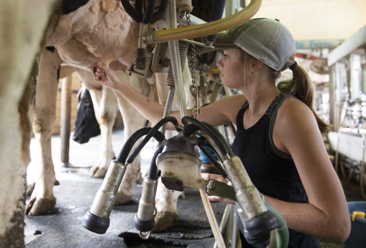 As dairy farms continue to struggle, the next generation readies to ...