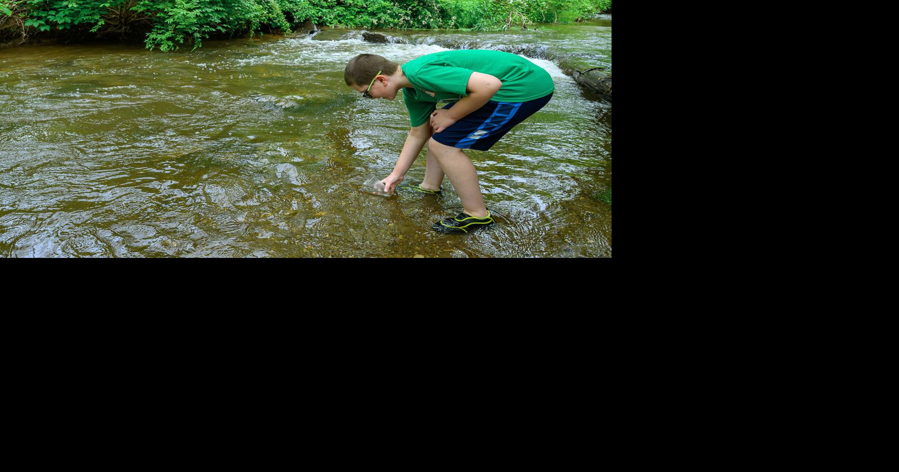 Something fishy: Students release the trout fingerlings they raised ...