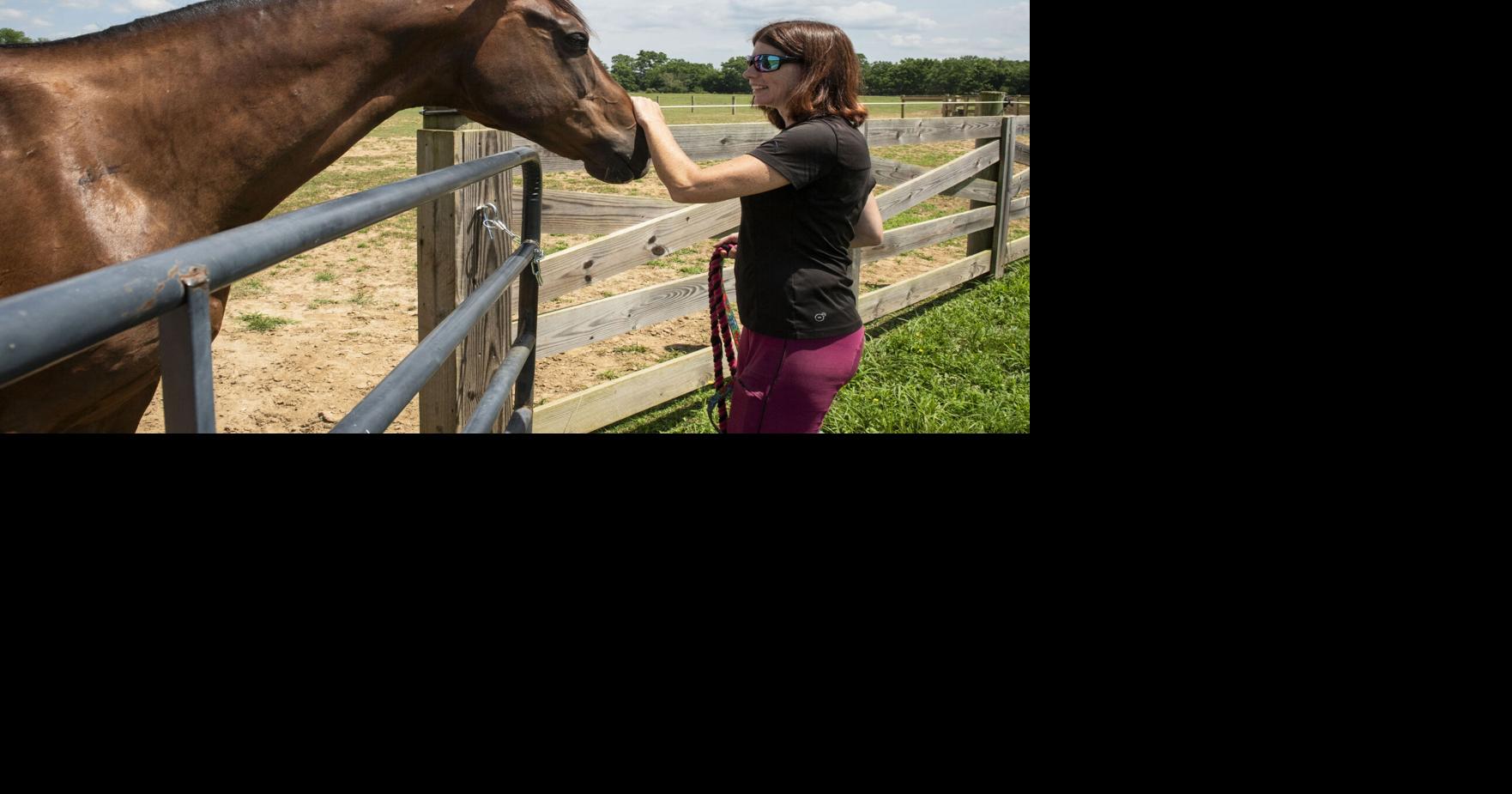 Horse course | Pets And Animals | fredericknewspost.com