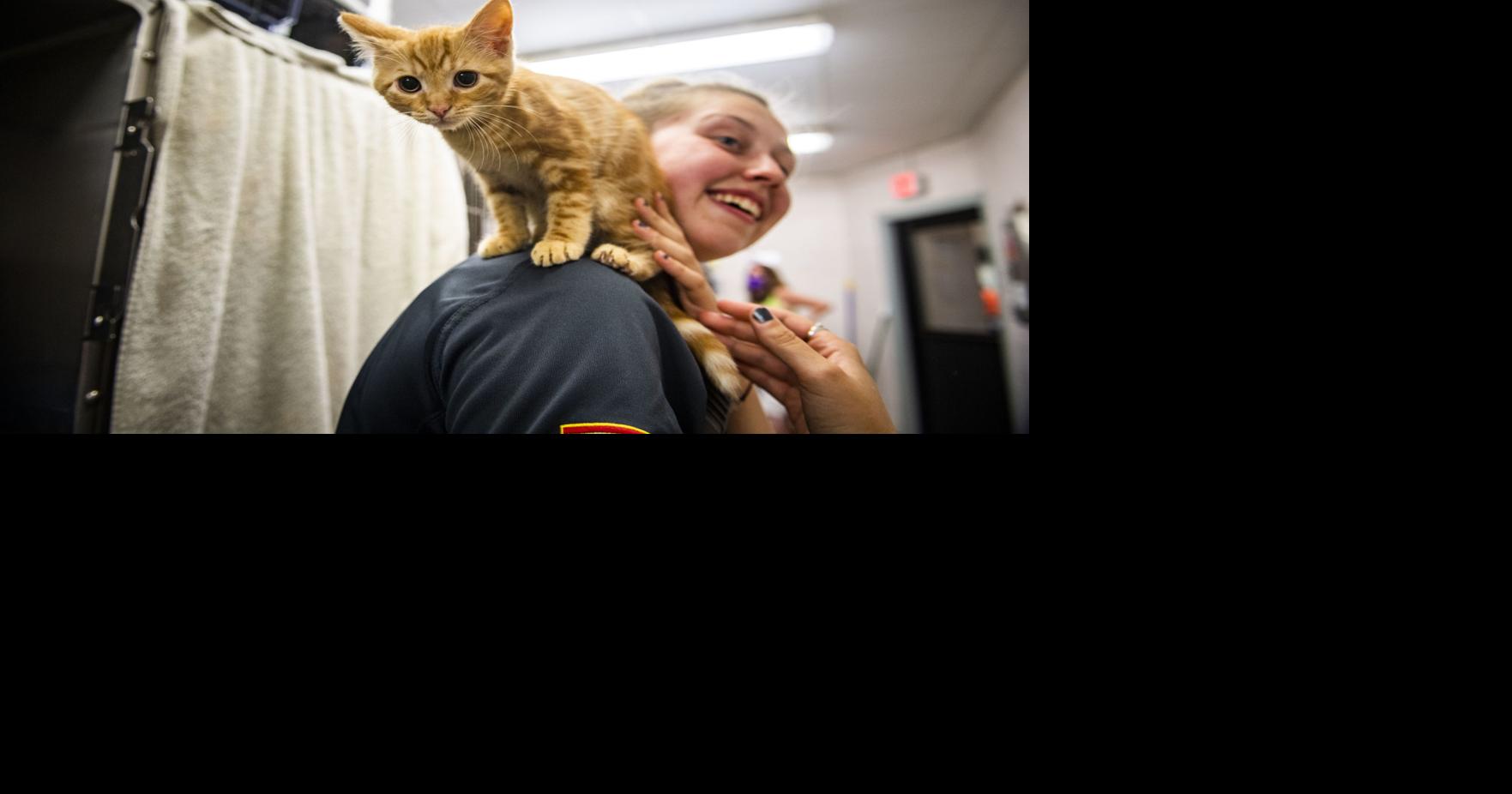 'Voice for the voiceless': Animal Control officers see spike in calls ...