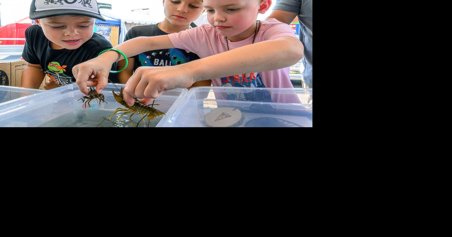 Students have fun learning at the FCPS STEM Fair | Great Frederick Fair | fredericknewspost.com