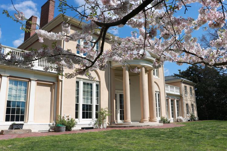 tudor house and garden