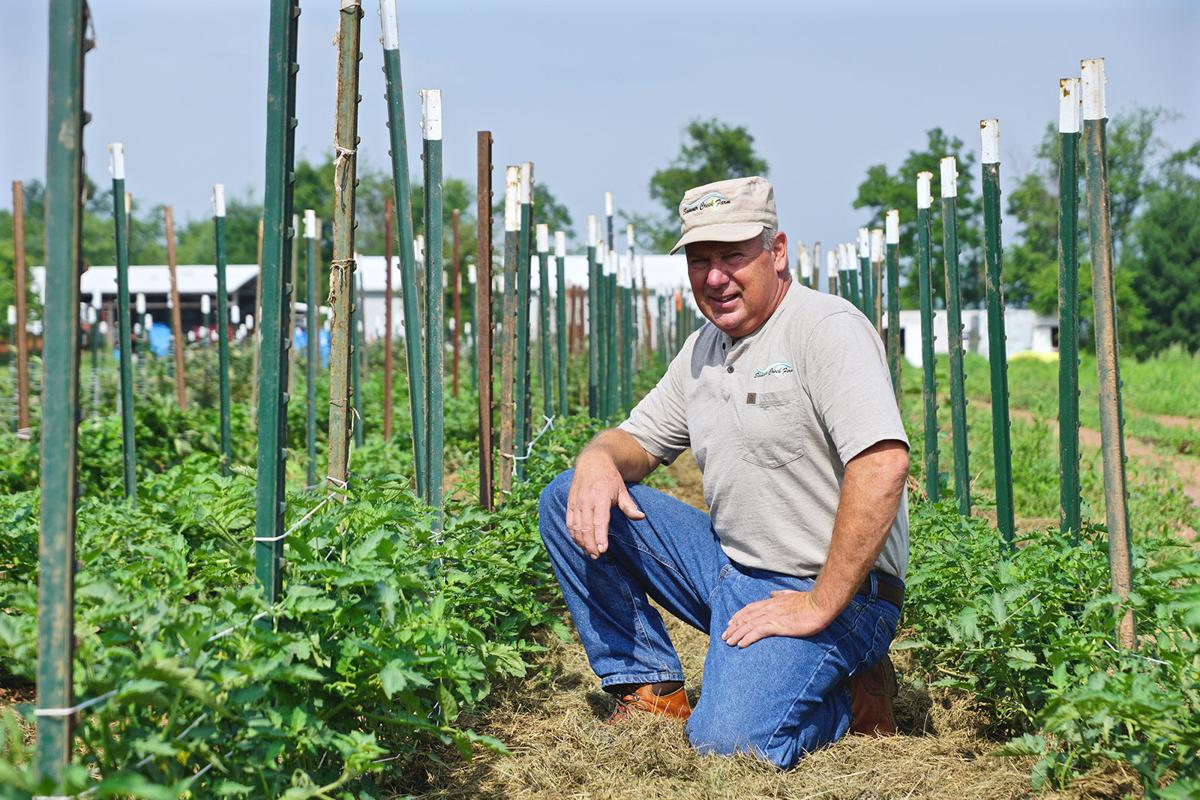 STILL LIFE WITH FOOD: The changing landscape of the family farm ...