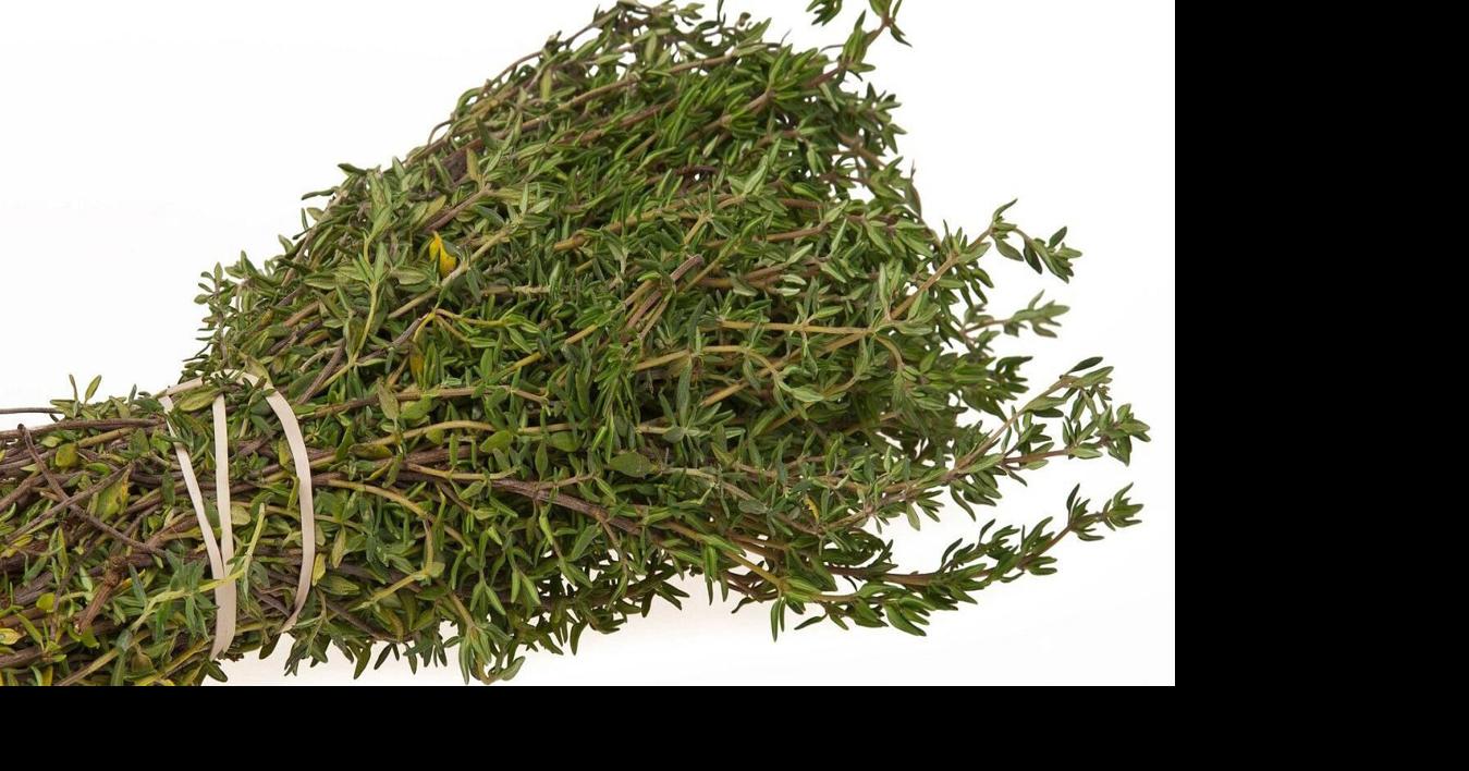 Common backyard plants are used in medical research | Home And Garden ...
