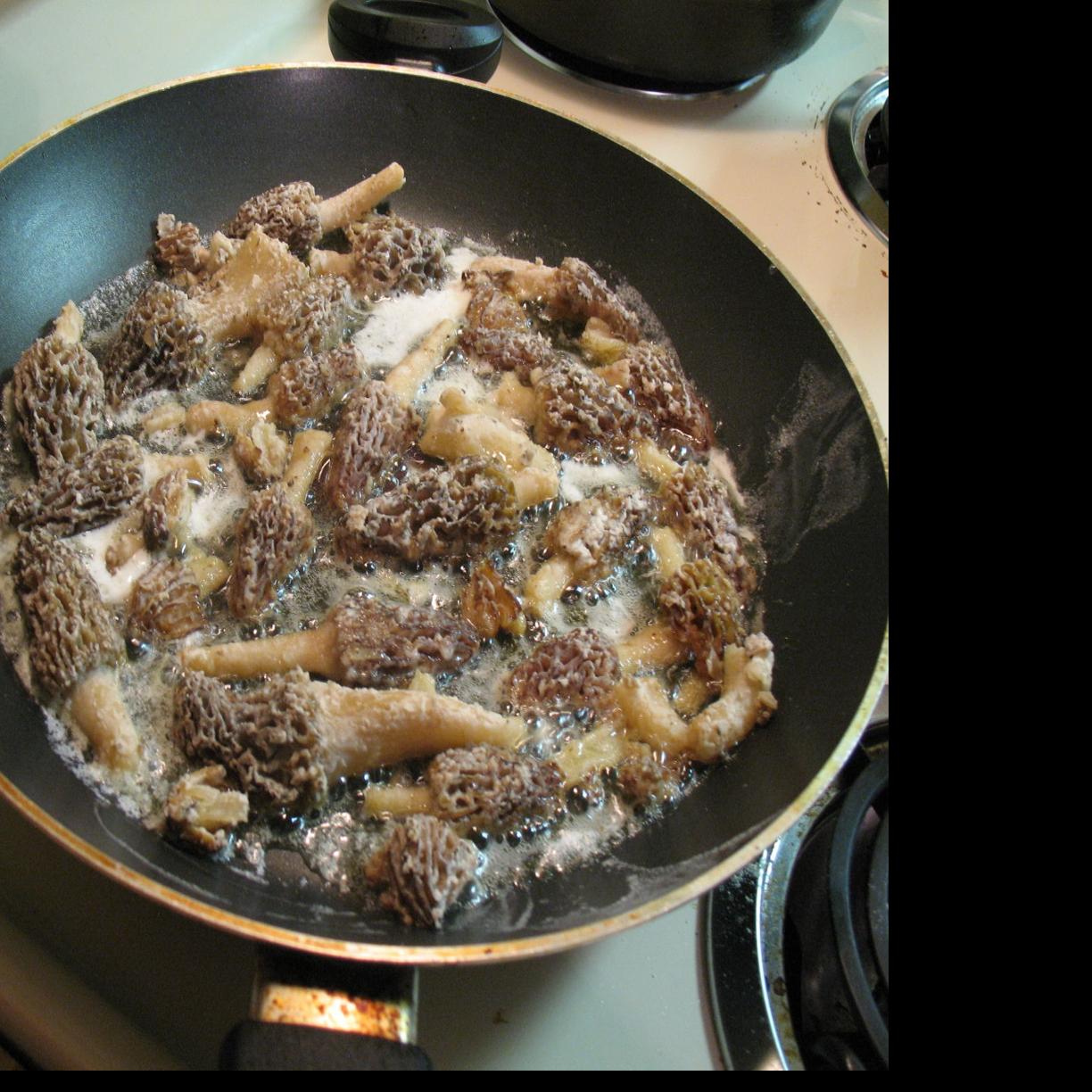 how to cook morel mushrooms