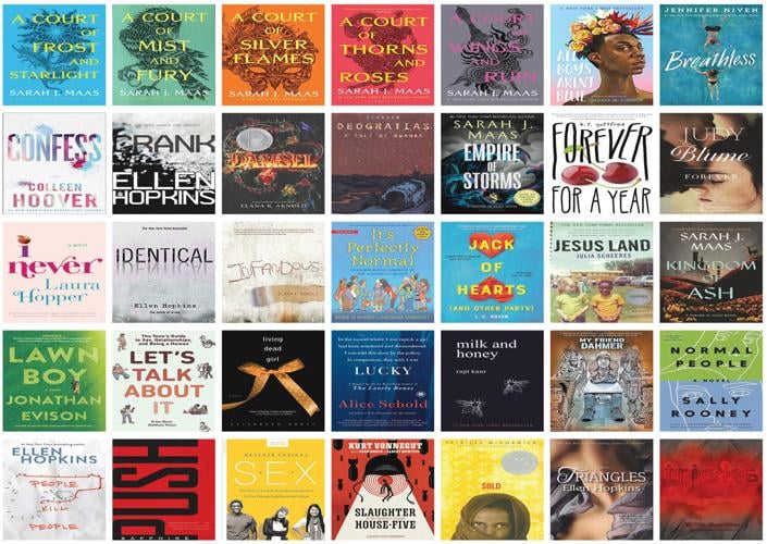 A look at the 35 challenged library books an FCPS committee is reviewing | Public K-12 ...