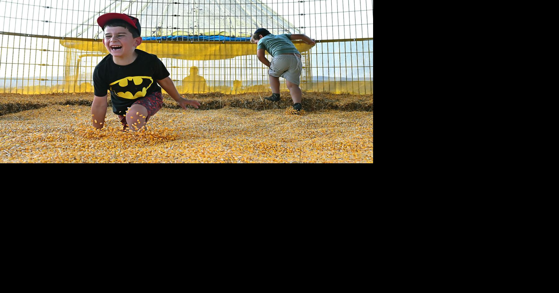 A kennel of corn | News | fredericknewspost.com