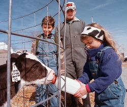 Wiles family is cream of the young farmer crop | Archives ...