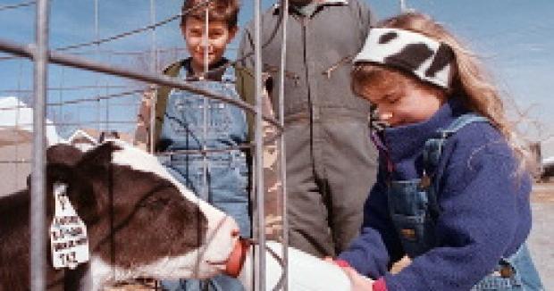 Wiles family is cream of the young farmer crop | Archives ...