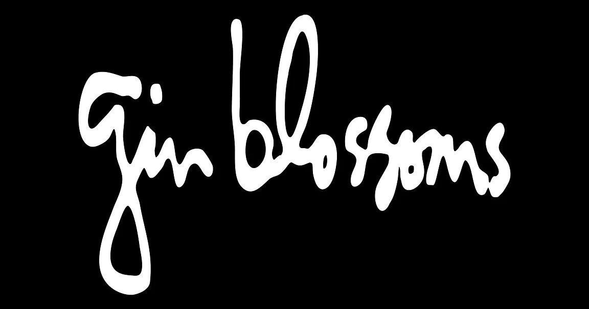 Jesse Valenzuela of the Gin Blossoms talks about his life of music ...