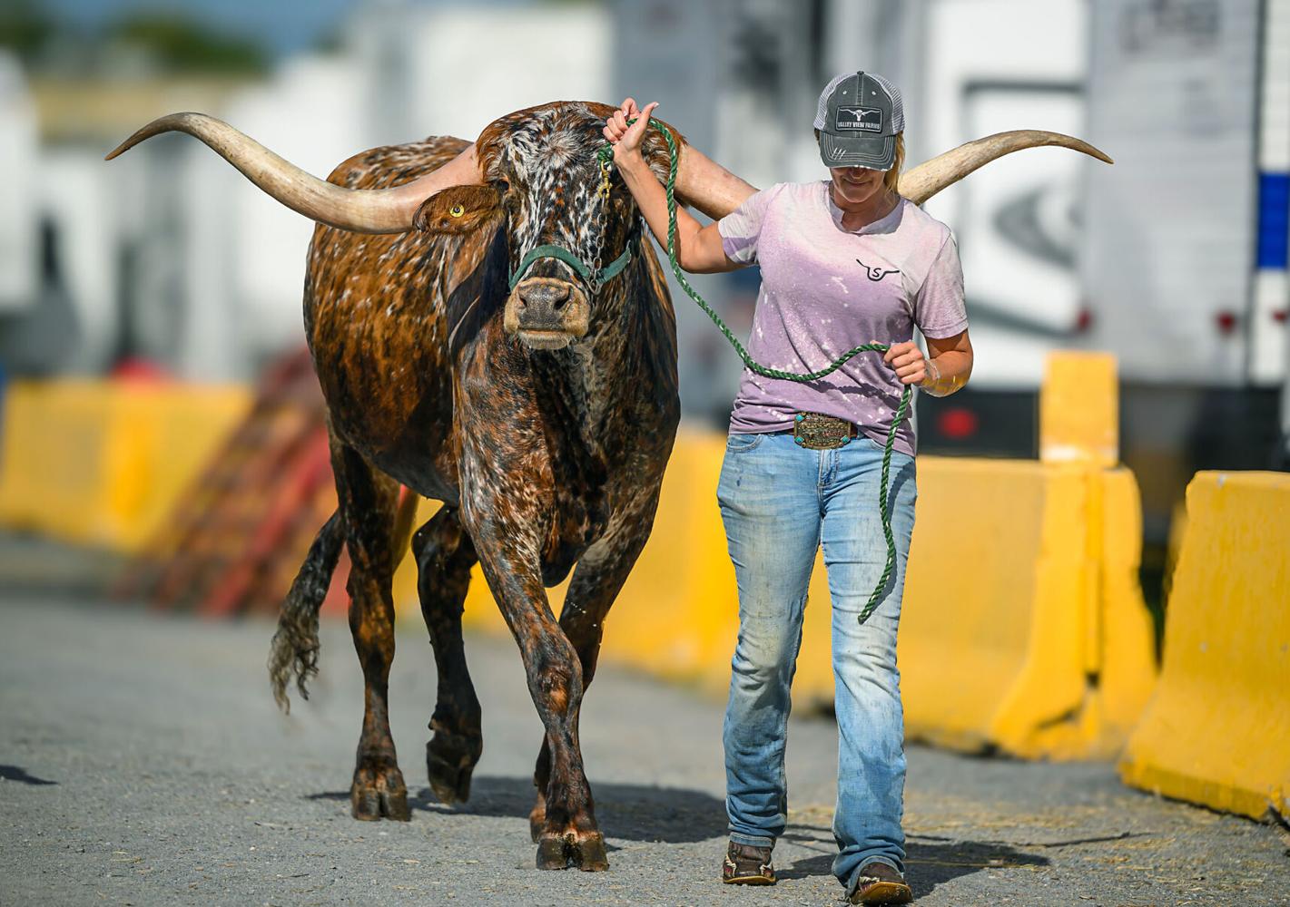 Great Frederick Fair opens this week | Arts & entertainment ...