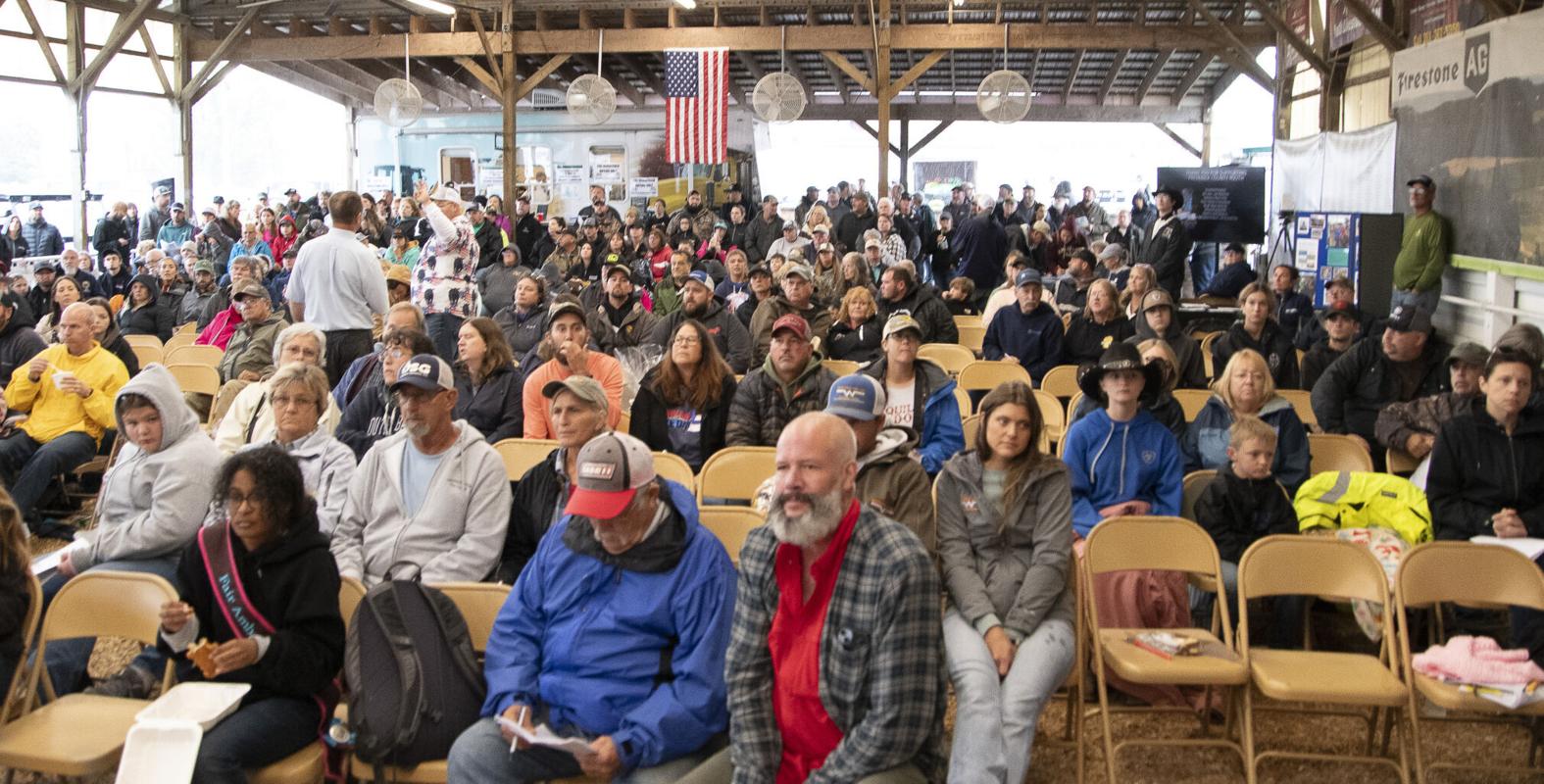 Award-winning showmanship on display at Youth Livestock Auction | Great ...
