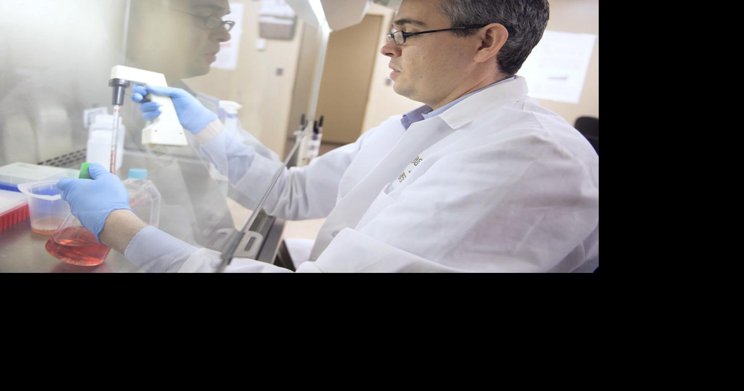 Frederick scientist develops method to measure effect of herbal ...